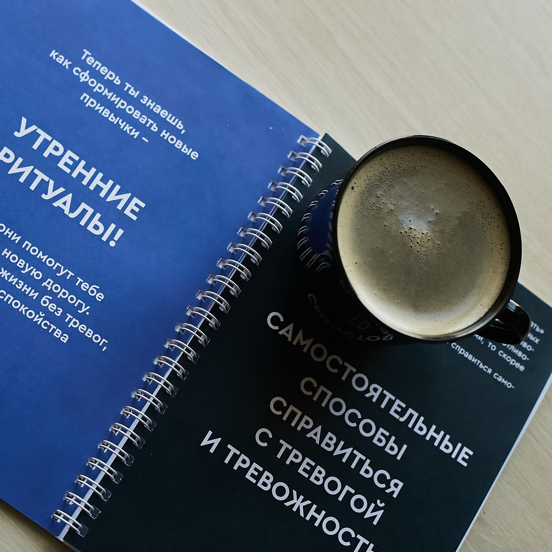 Обзор книги