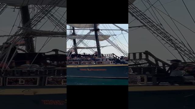 Аренда Яхт. Морское путешествие. Встречи с  Дельфинами. Лазаревское