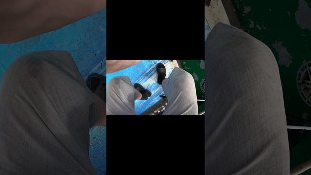 буйный попался