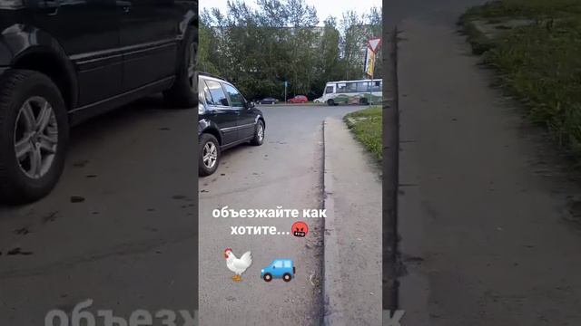 Очередной _водятел_.mp4