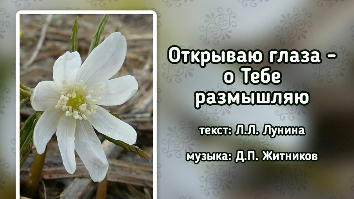 Источник хвалы 203 Открываю глаза (-)