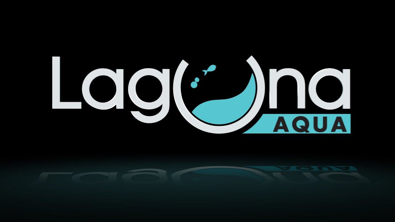 LAGUNA ПЯТЬ В ОДНОМ