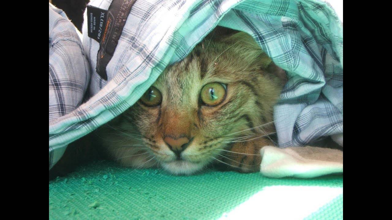 Игры В Прятки С Подписчиками!