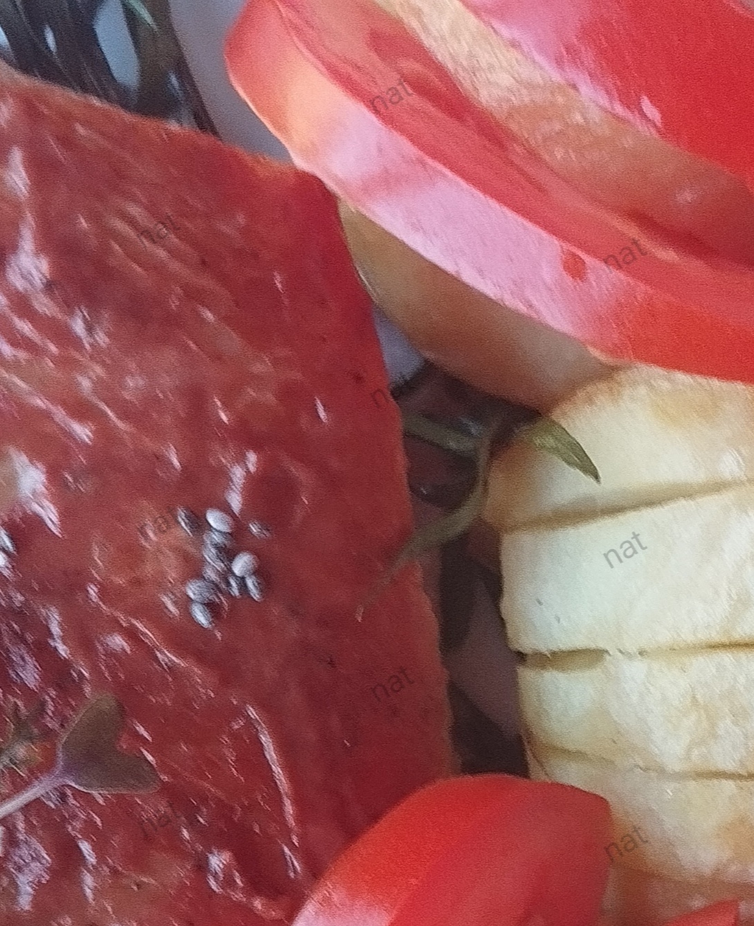 РЫБКА класс#shorts#готовимдомавкусно#лучшиерецепты#блюдатзрыбы🐟🍄🍅😋🙀