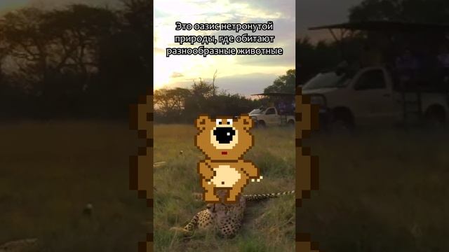 Мишка и парк