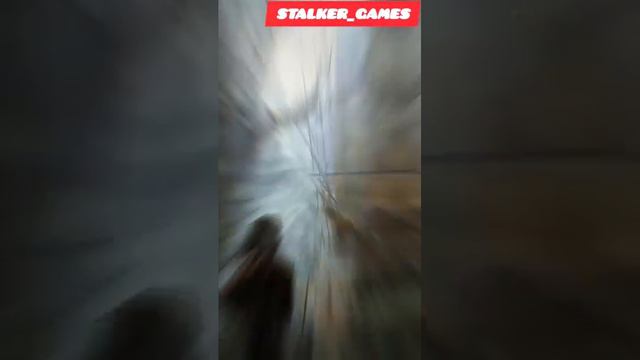 Дядя Костя #☢️Stalker_Истории☣️#