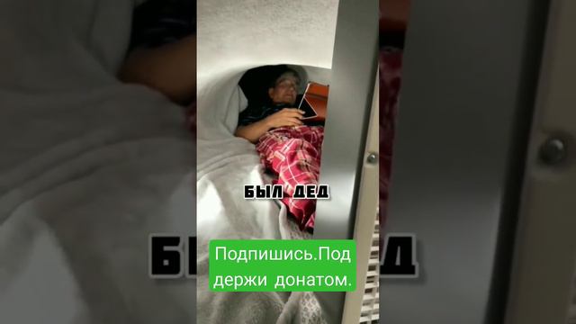 Когда_узнал.Весь_день_ржал._животныесмешные_trustdumbl__стримердамбл_#прикол #коты