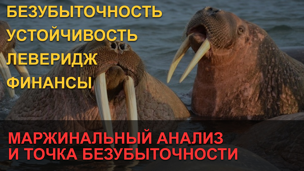 Маржинальный анализ и точка безубыточности