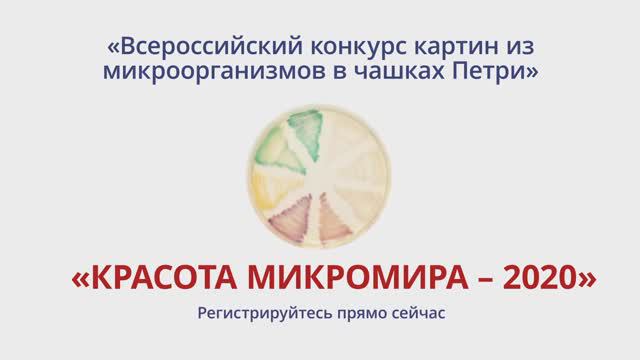 Конкурс «Красота микромира - 2020»