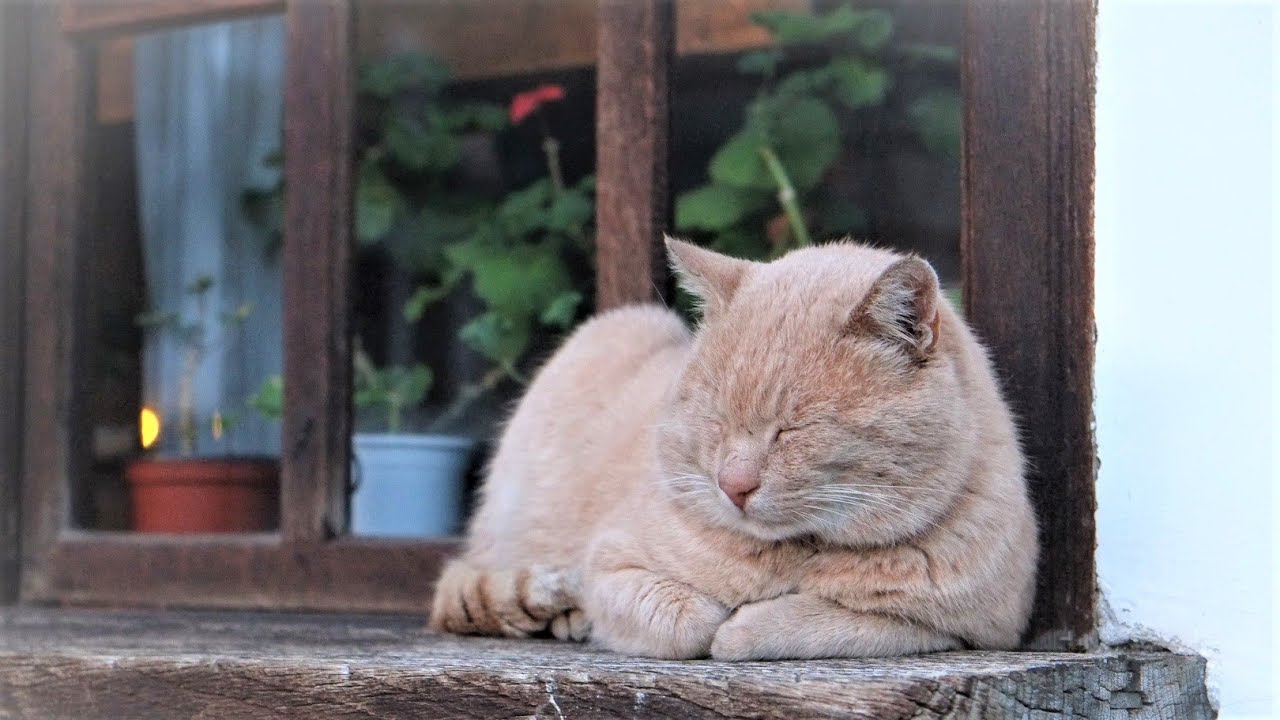 Двухэтажная Кровать