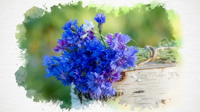 «Мелодия о любви..»