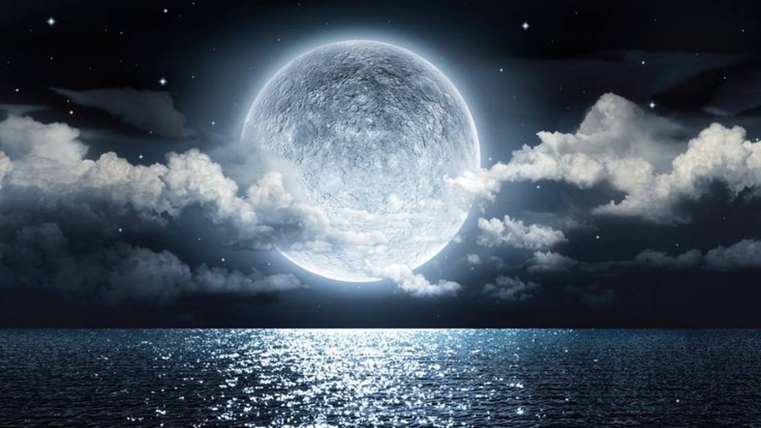 Иосиф Бродский: "ОДИНОЧЕСТВО". Читает — Елена Артёменко. Запись — июнь, 2019 год.