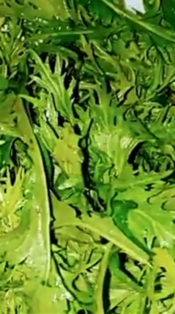 САЛАТ ЗА 5 МИНУТ