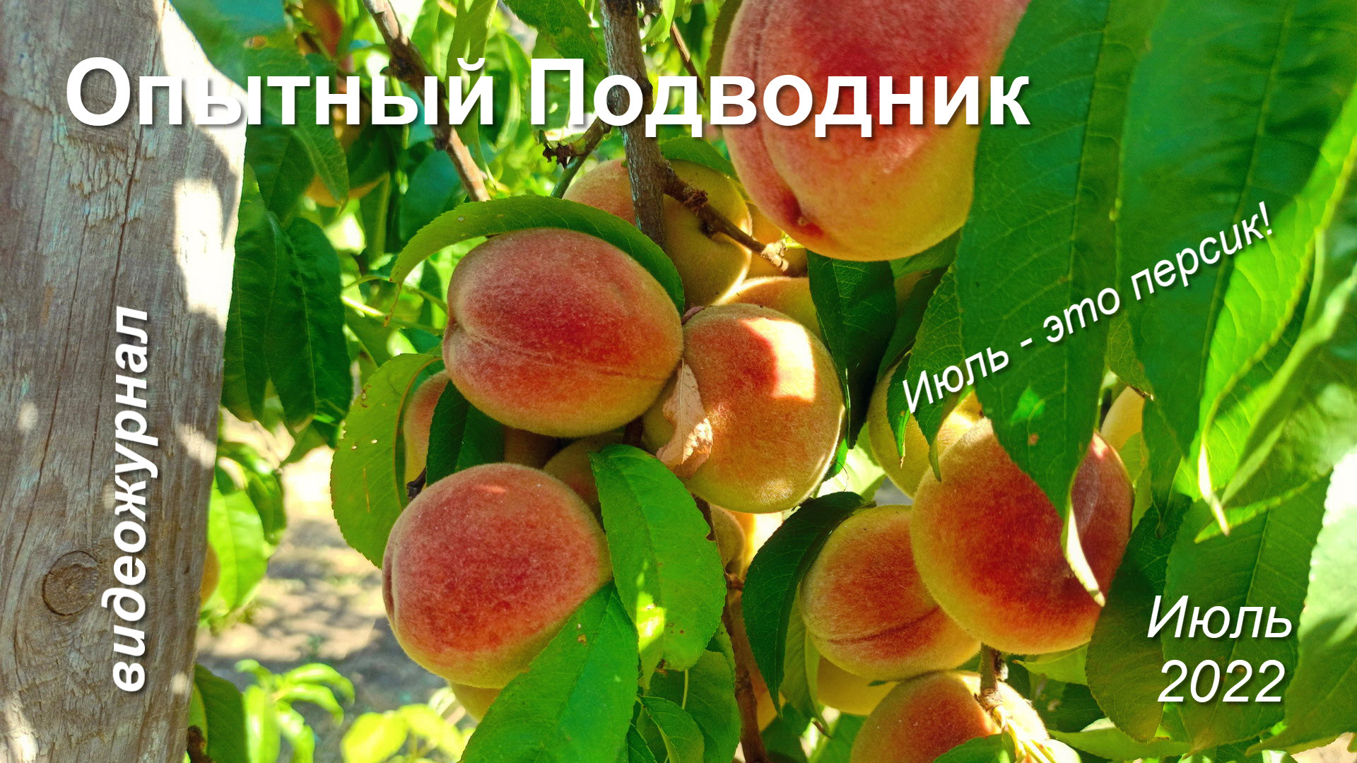 ВИДЕОЖУРНАЛ__ИЮЛЬ_2022