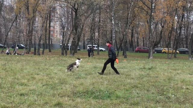 Ф.Фристайл  Людмила и Аргентина.mp4