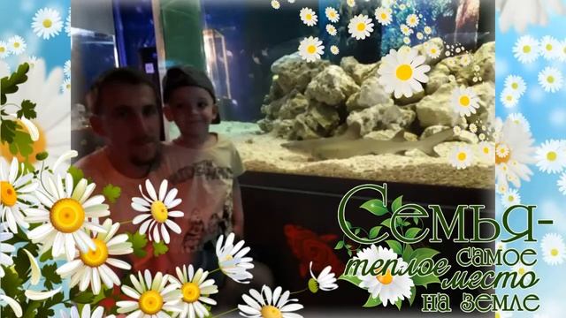 Чижевские.mp4