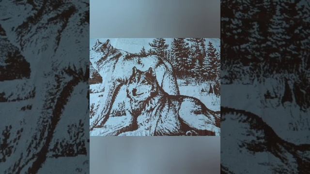 Плед связан по моему файлу. Работа моей подписчицы Гали из Саратова. Двухфонтурный жаккард..mp4