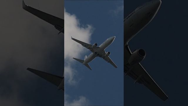 Boeing 737-8KN авиакомпании ЮТэйр [RA-73496] заходит на посадку во Внуково (VKO/UUWW) 26.05.2023