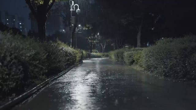 Звуки дождя для сна и снятия стресса. ?