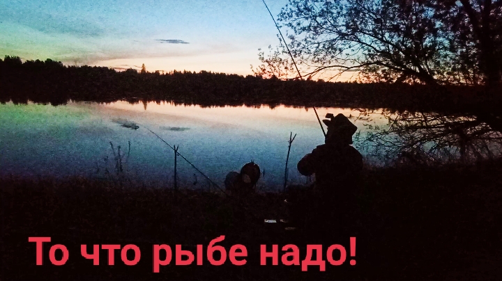 Хорош УЛОВ! Рыба не проплывёт мимо. Бери эту СНАСТЬ и поймаешь! Фидерная рыбалка ночью.