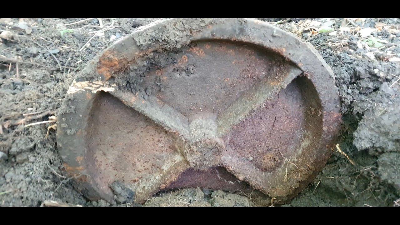 Кругом успел, и на коп, и за вишней.