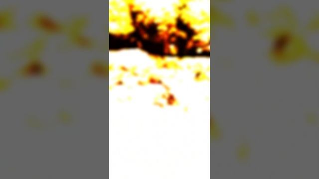 Хашупскинский каньон. Абхазия #shorts