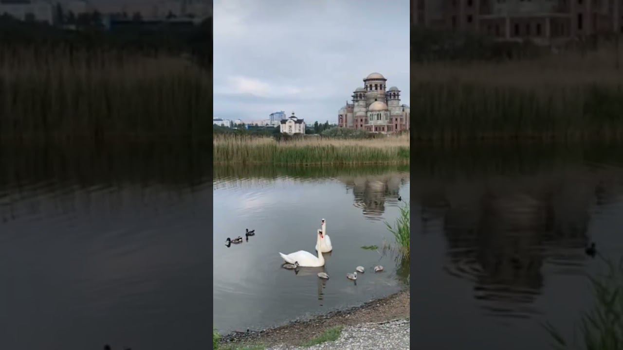 Нежность и забота  родителей