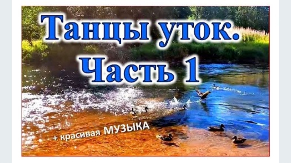 ТАНЦЫ УТОК. Часть 1. Миркушова Александра