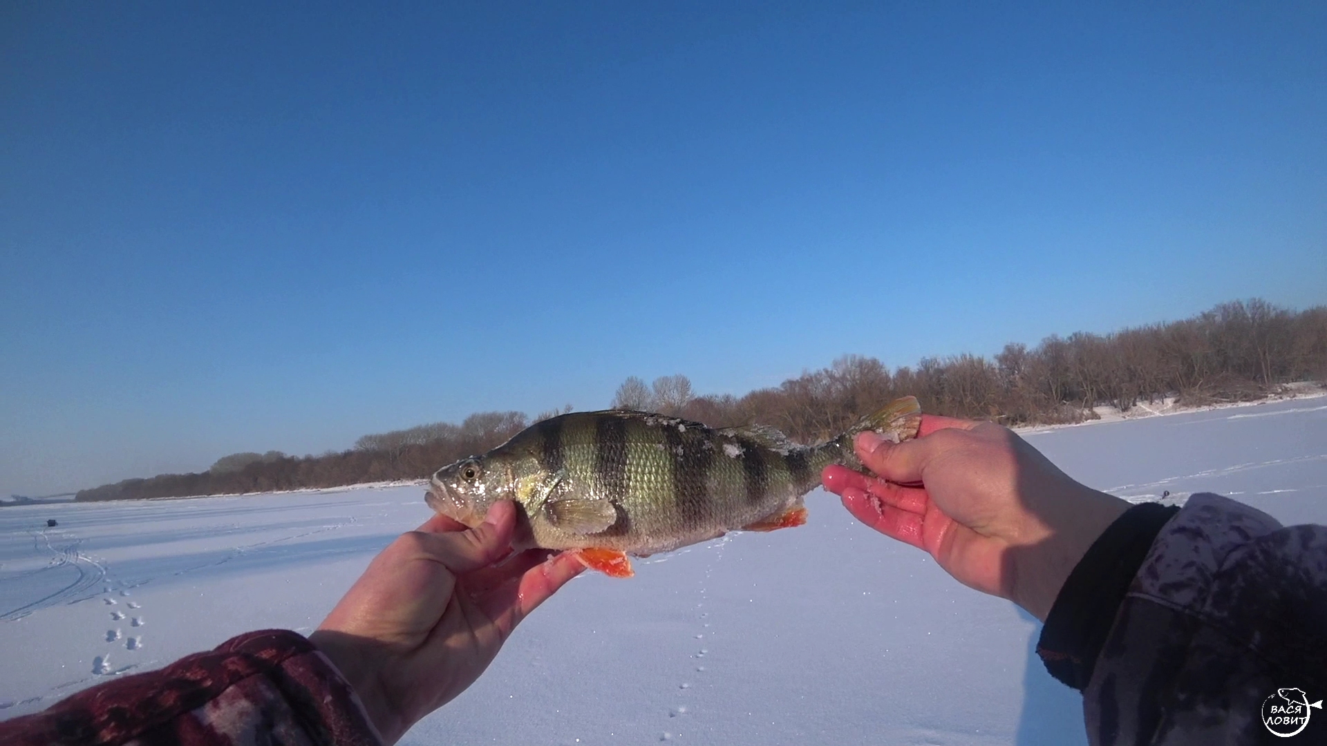 Ловим ОКУНЯ в мороз -18 р.Дон. (14.01.2022)