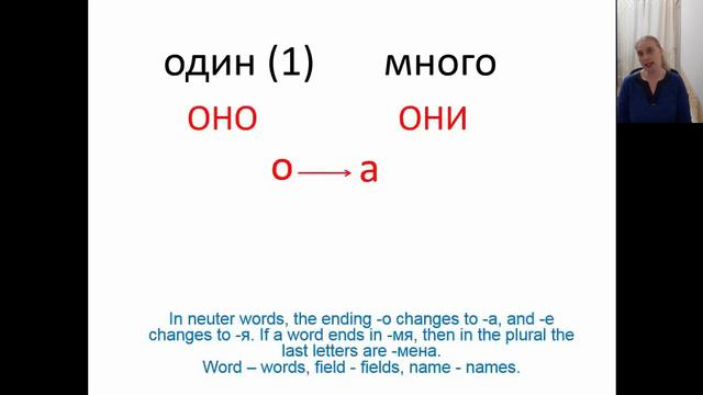 категория числа