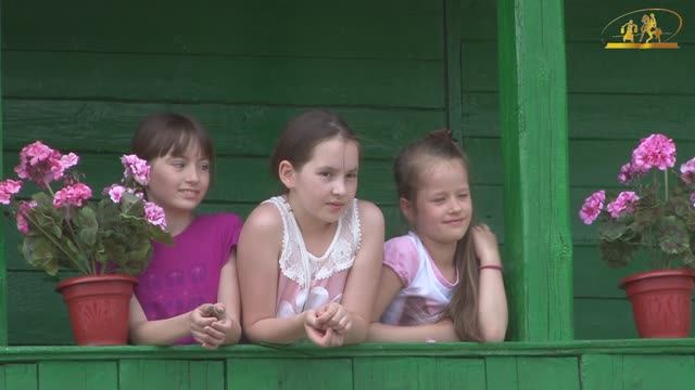 Лето в музее Шолохова. 2017