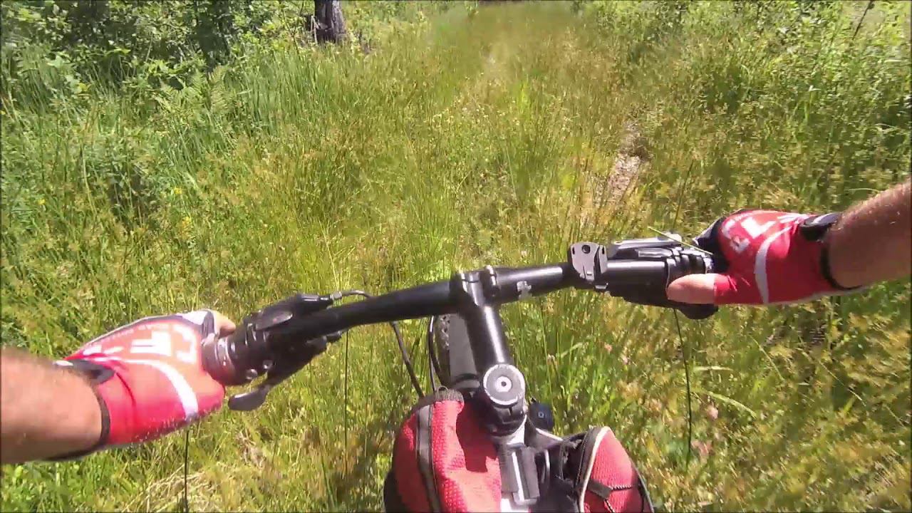 Велопрогулка в окрестностях Валдая