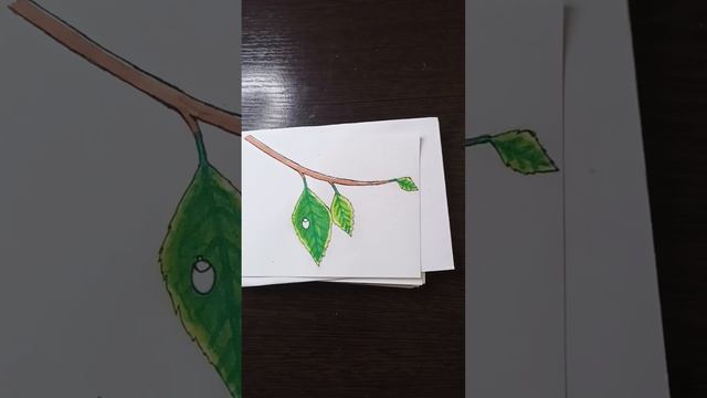 Берёзовая веточка после дождя