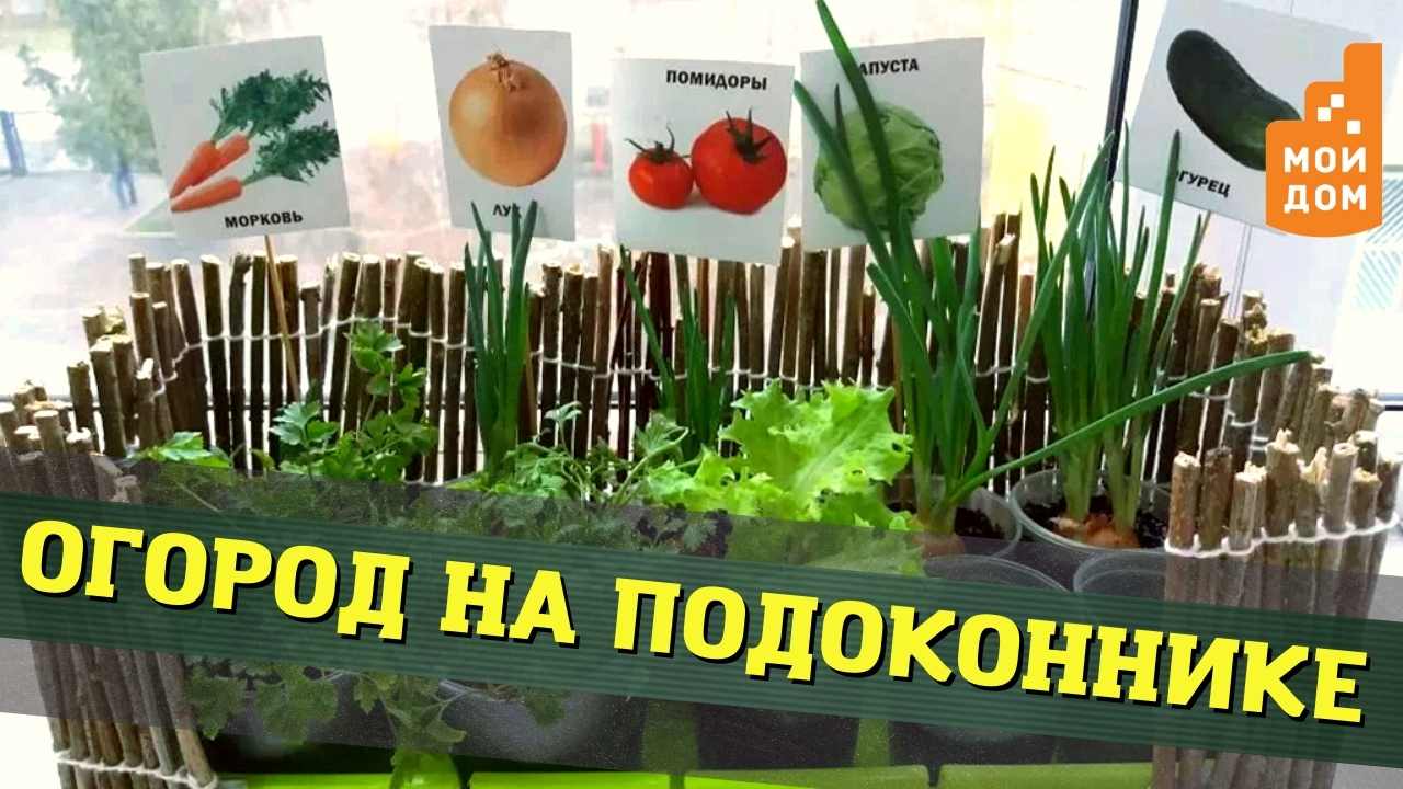 Эко-таблетка для домашнего урожая - советы из Челябинска