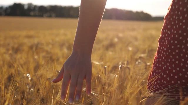 Клуб видеомонтажеров. Трактор в поле - Профессиональные линейные переходы с цветокоррекцией.