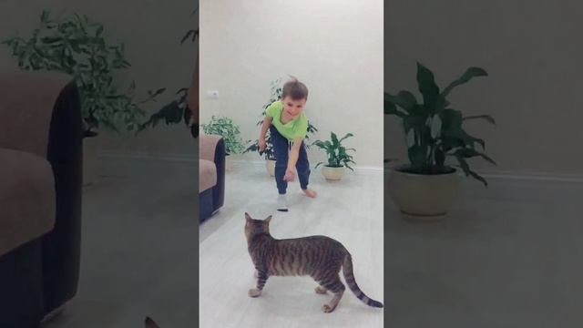 Кот Мурз в красивом прыжке ловит мяч