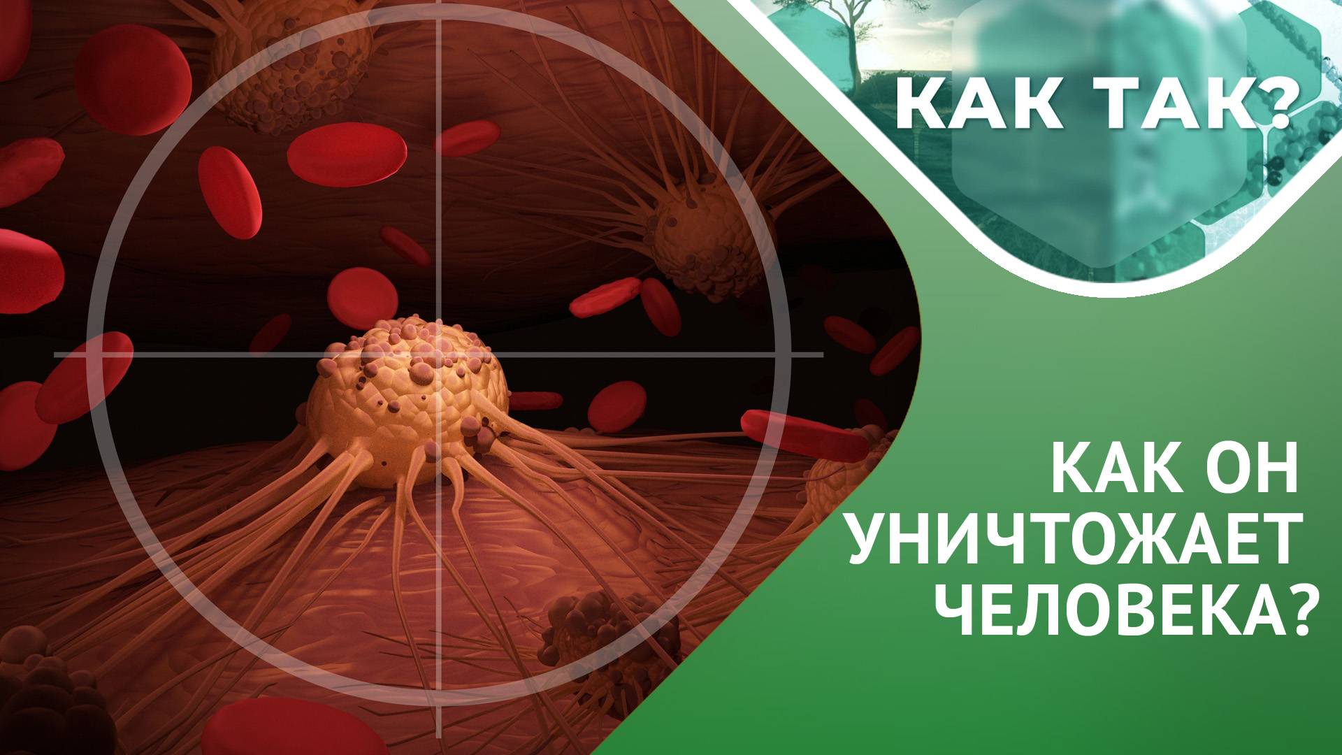 Рак: как он возникает, и как его остановить? // КАК ТАК? Выпуск 4