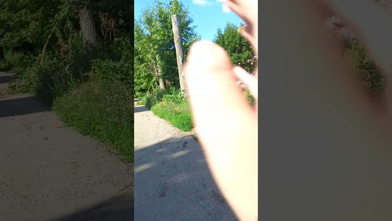 Не гуляйте в лесу одни...