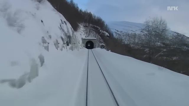 Кольцо, часть 2