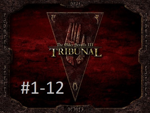 TESIII Tribunal #1-12 Банда Чёрного Дротика.mp4