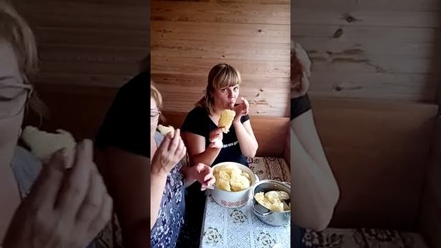 Мёд из ловушки на даче Фроловых.