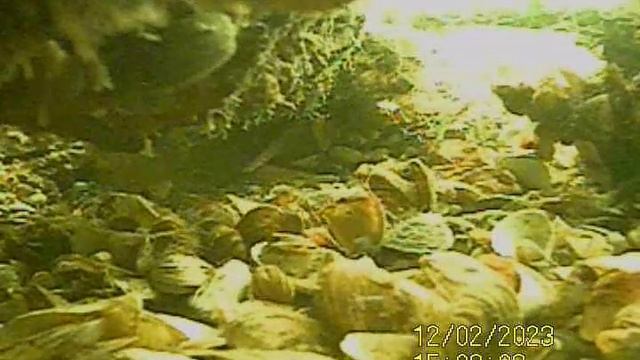 YouCut_20231202_162539219.mp4