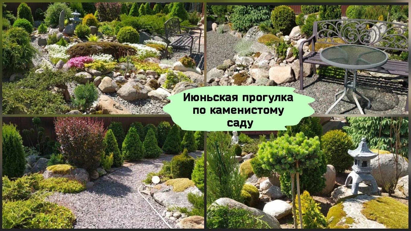 Июньская прогулка по каменистому саду.