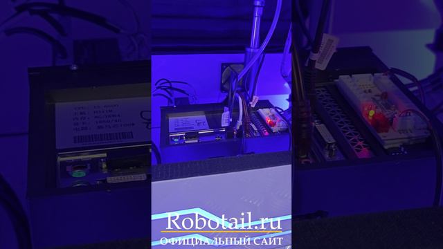 Нет изображения на аттракционе виртуальной реальности Сrazy Egg