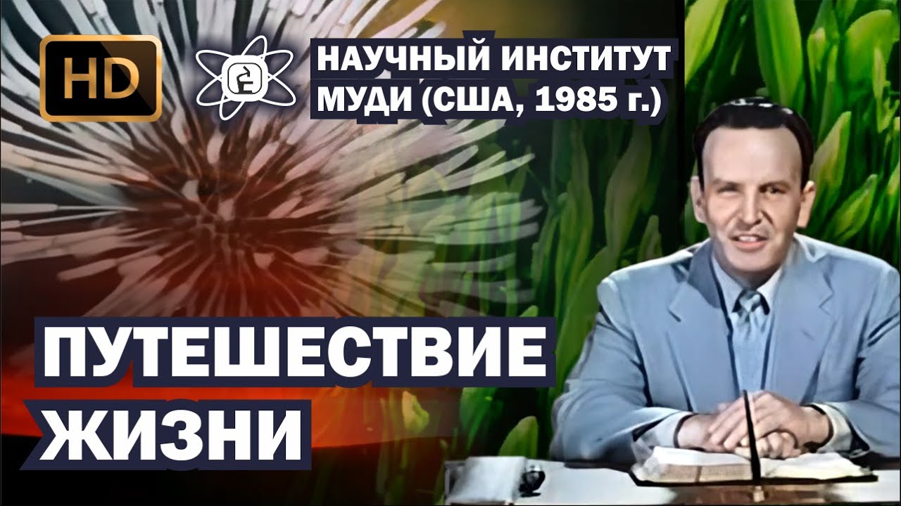 Путешествие жизни (1985). Научный Институт МУДИ