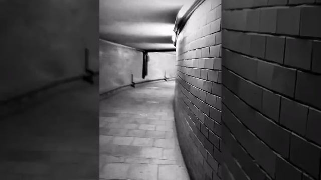 Путь в морг