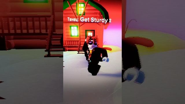 Помогаю снимать видео в TTD 3 часть 1.  TTD 3 Roblox