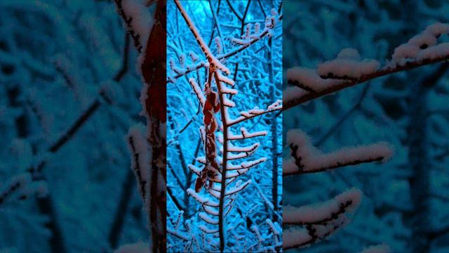 Что такое баланс белого(WB) в смартфонах