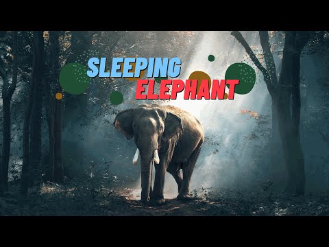 Relaxing Sounds - Спящий слон