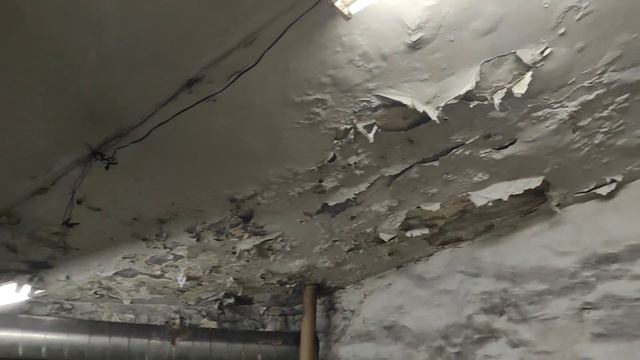 Моя работа   (32)